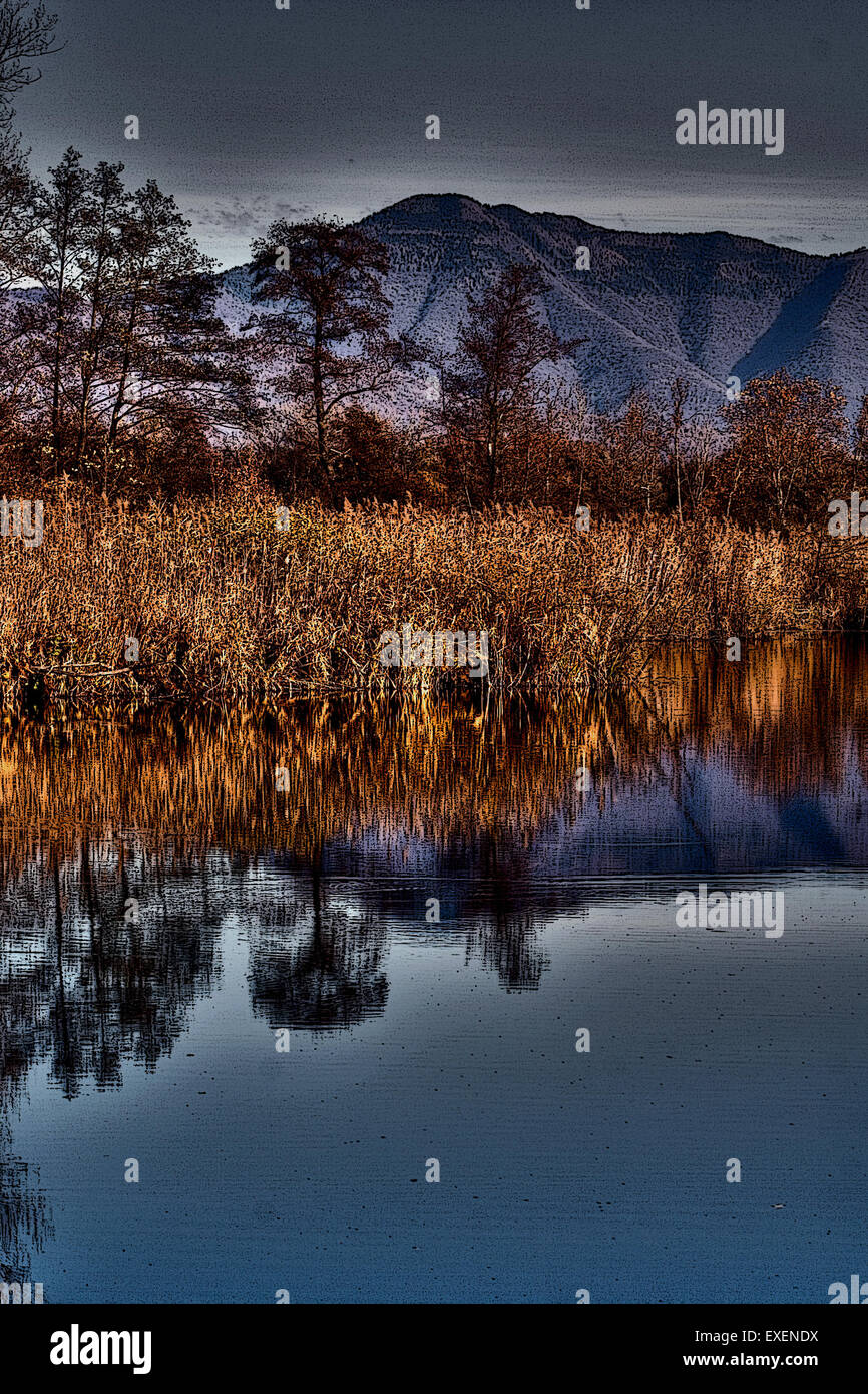 abstract autumn lake and marsh moor marshy in the north of italy Stock ...