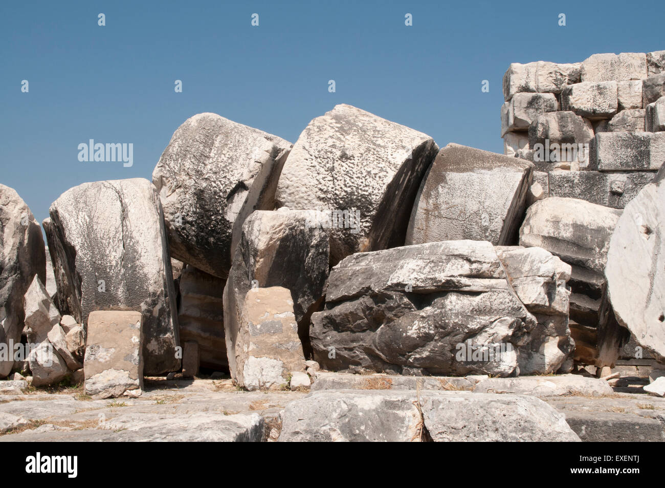 Didyma was an 109 meter long and 51 meter wide sanctuary with 120 ...