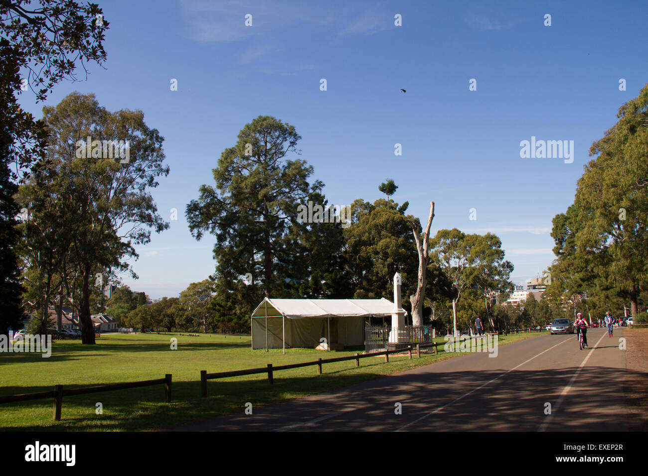 Parramatta Park in Parramatta, Western Sydney, Australia Stock Photo ...