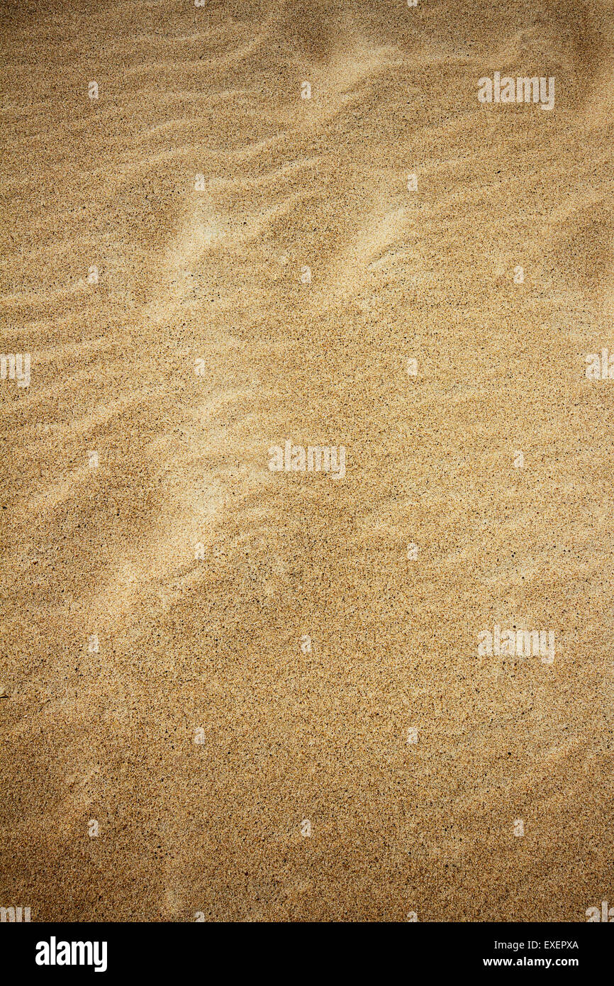 Close up of beach sand texture background Stock Photo - Alamy