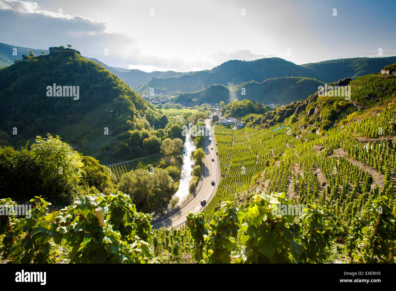 River ahr vineyards hi-res stock photography and images - Alamy