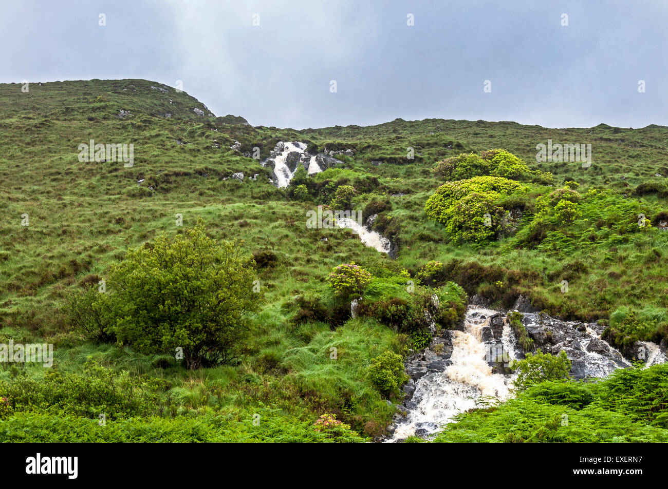 Dunlewey, County Donegal, Ireland weather. 13th July 2015. Heavy ...