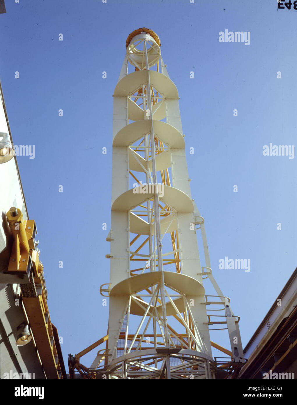 This image presents a close-up view of a whalebone structure, detailing ...