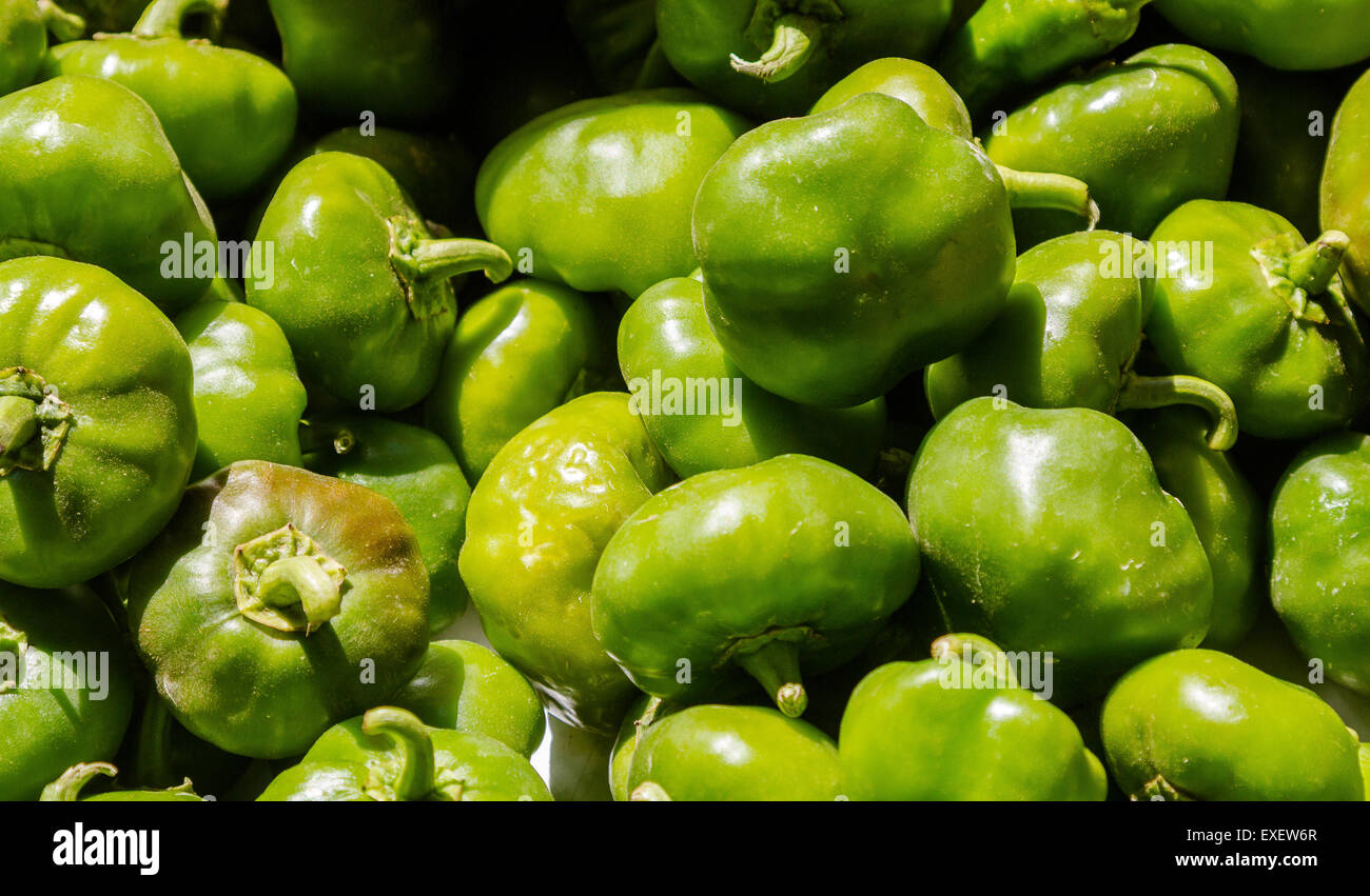 Capsicum fresh green peppers and red flowers Stock Photo - Alamy