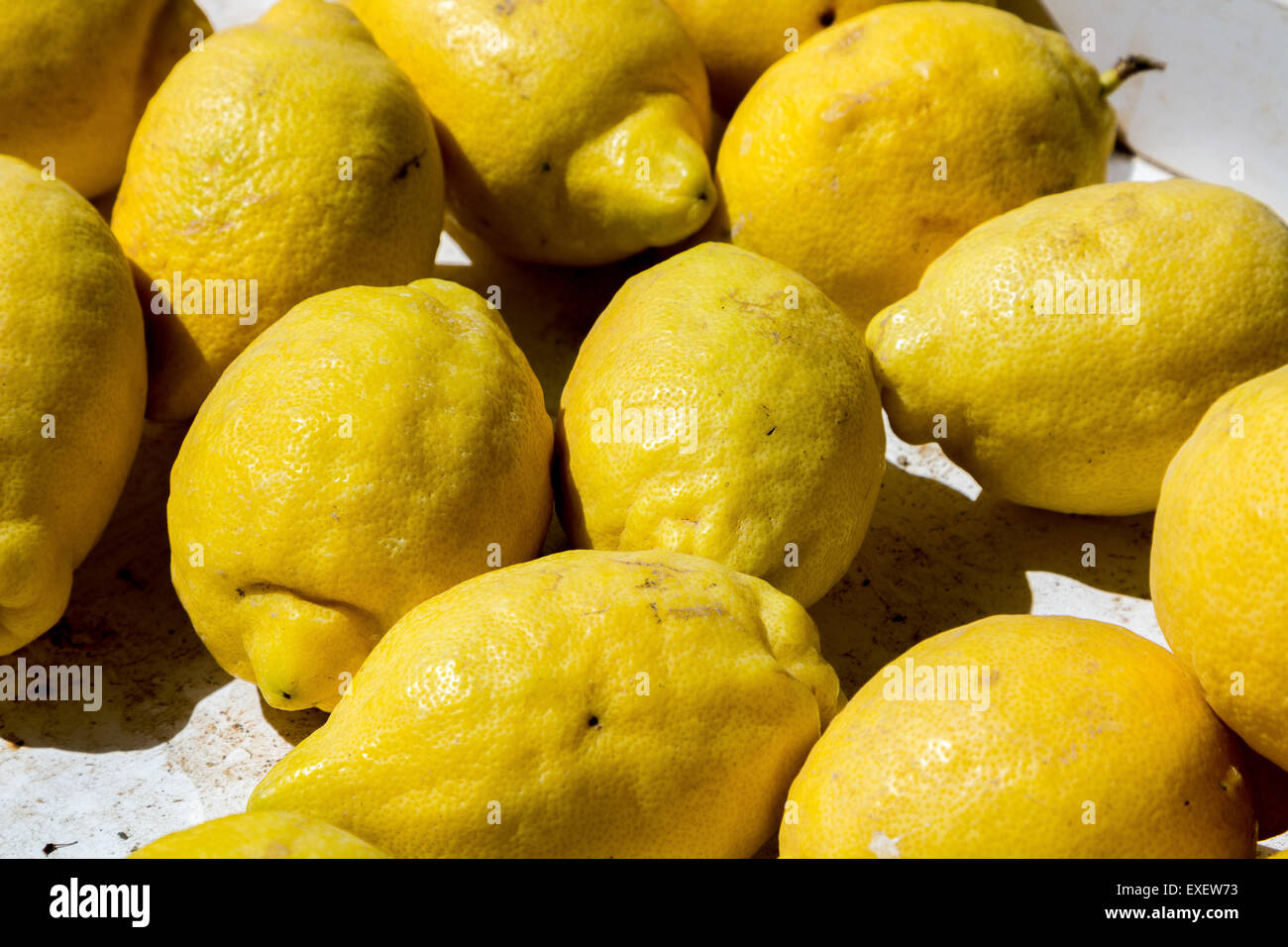 citrus background full of lemons Stock Photo - Alamy