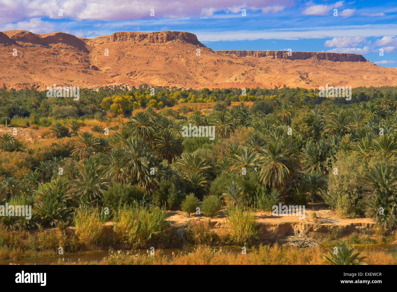 Tafilalet oasis tafilalt oasis ziz hi-res stock photography and images ...