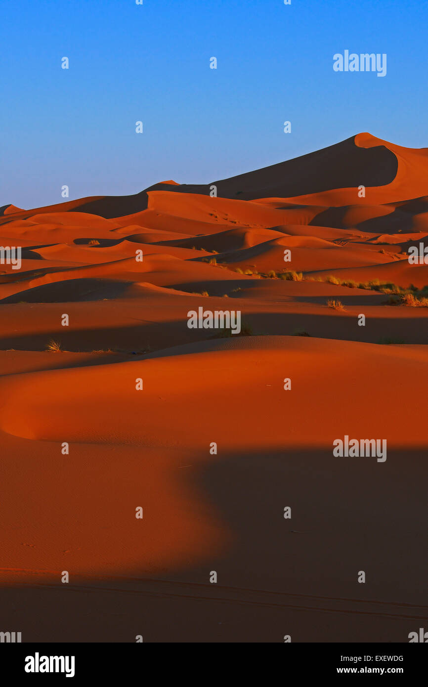 Merzouga, Erg Chebbi, Merzouga sand dunes, Sahara Desert, Morocco ...