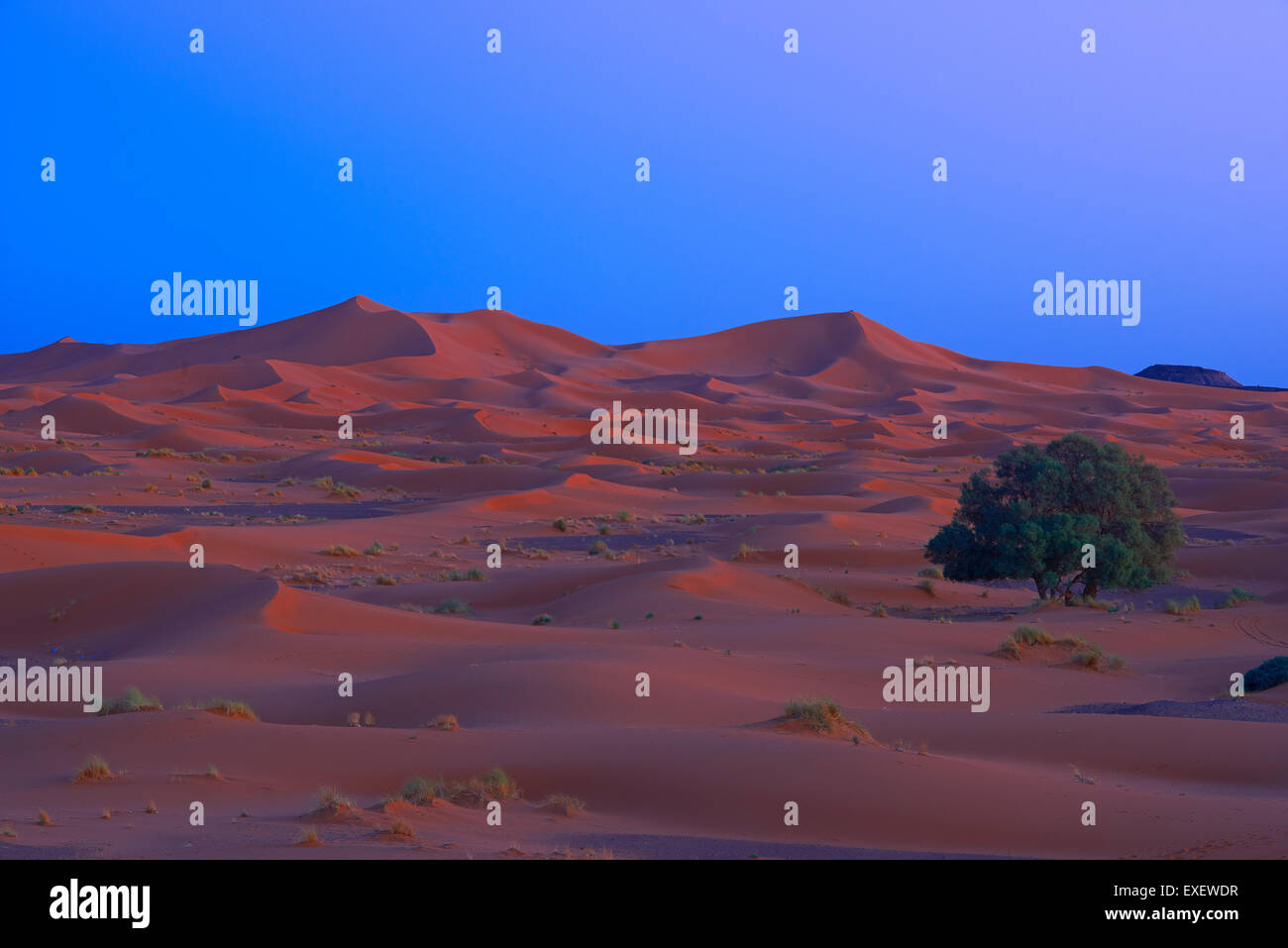 Merzouga, Erg Chebbi, Merzouga sand dunes, Sahara Desert, Morocco ...