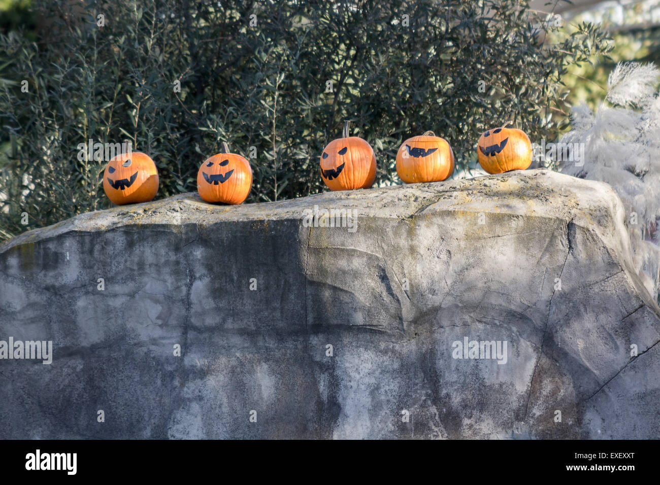 Scary face expression hi-res stock photography and images - Alamy