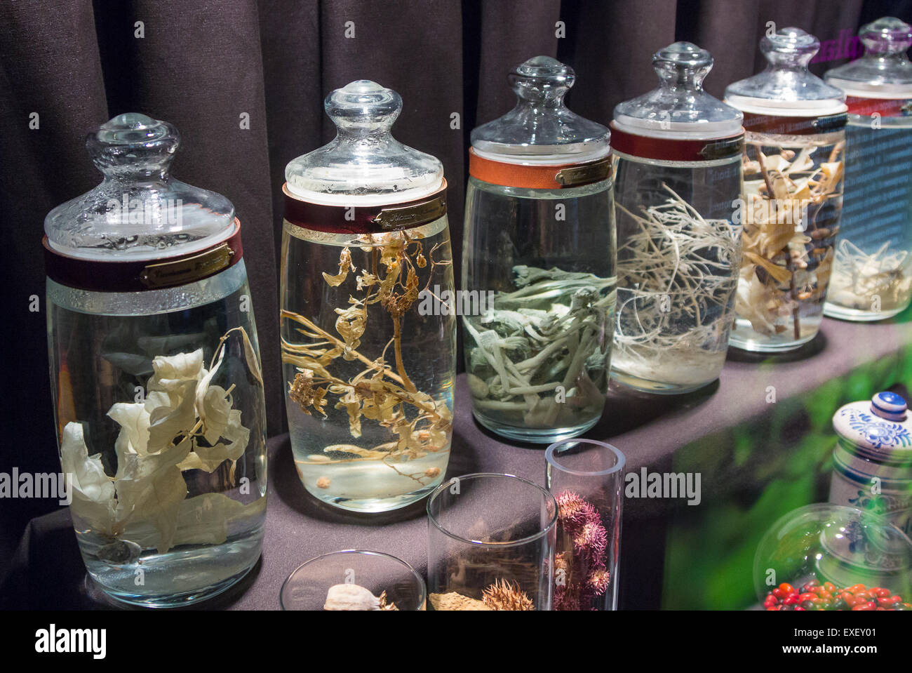 Laboratory glass jars hi-res stock photography and images - Alamy