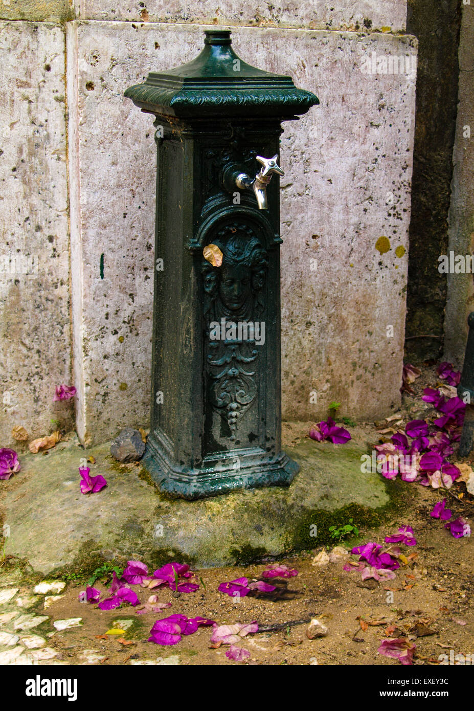 Old Tap And Flowers High Resolution Stock Photography and Images - Alamy