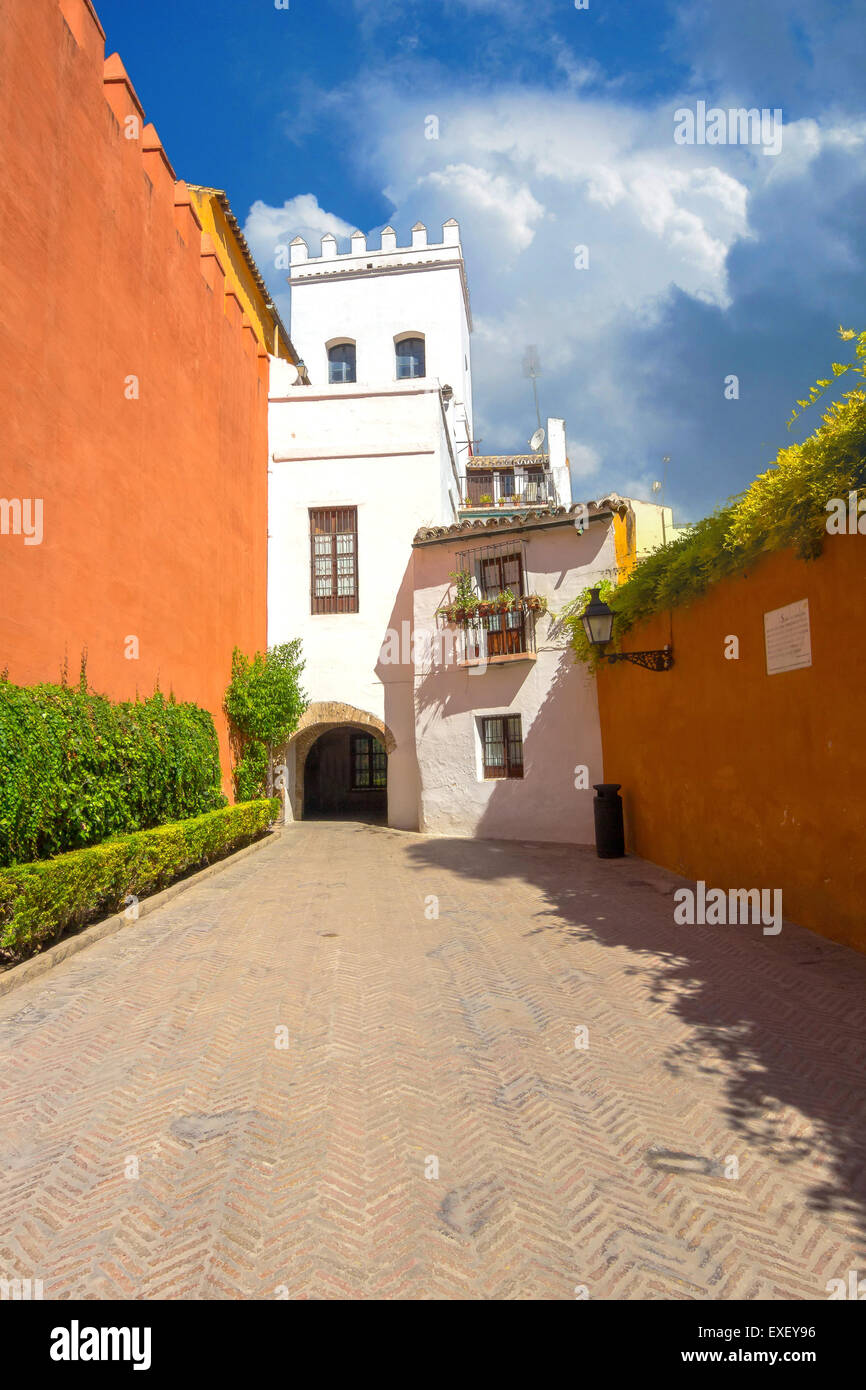 beautiful streets full of typical color of the Andalusian city of ...