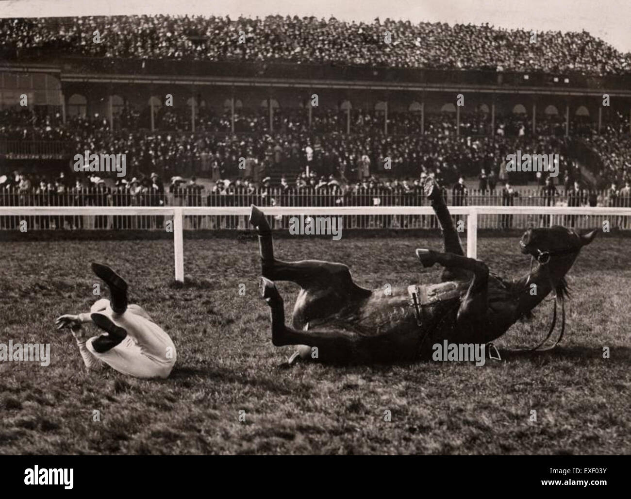 This artwork depicts a dramatic moment in horseback riding, capturing ...