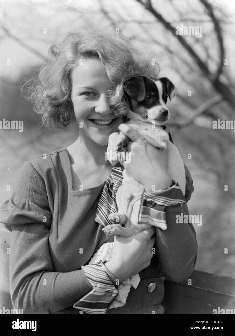 This charming image captures the playful innocence of a young puppy. It ...