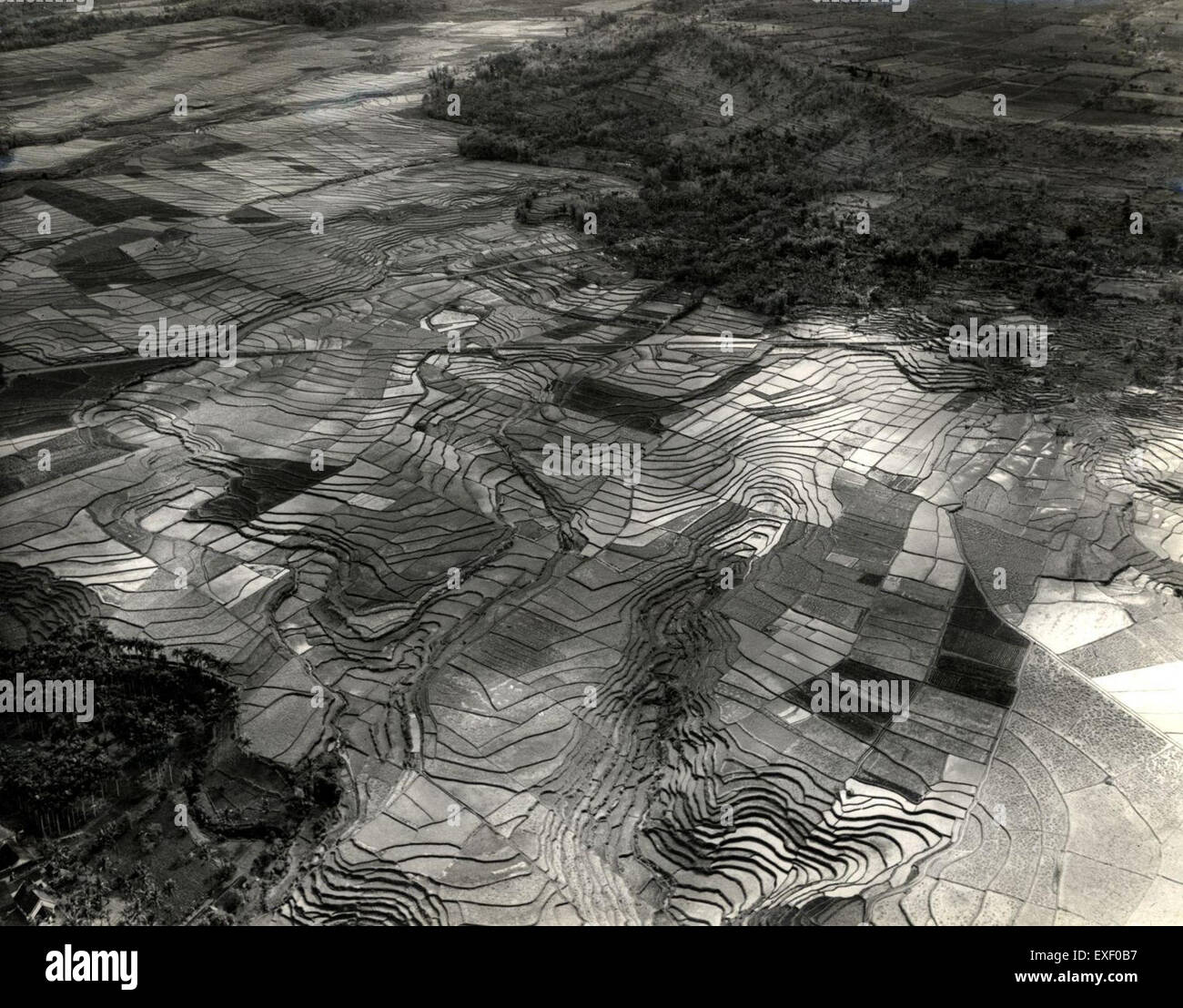 Sawa's Ricefields represents the beauty and cultural significance of ...