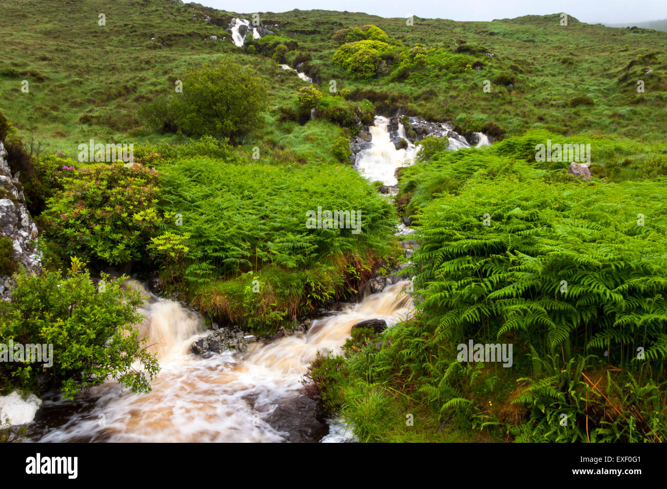 Dunlewey, County Donegal, Ireland weather. 13th July 2015. Heavy ...
