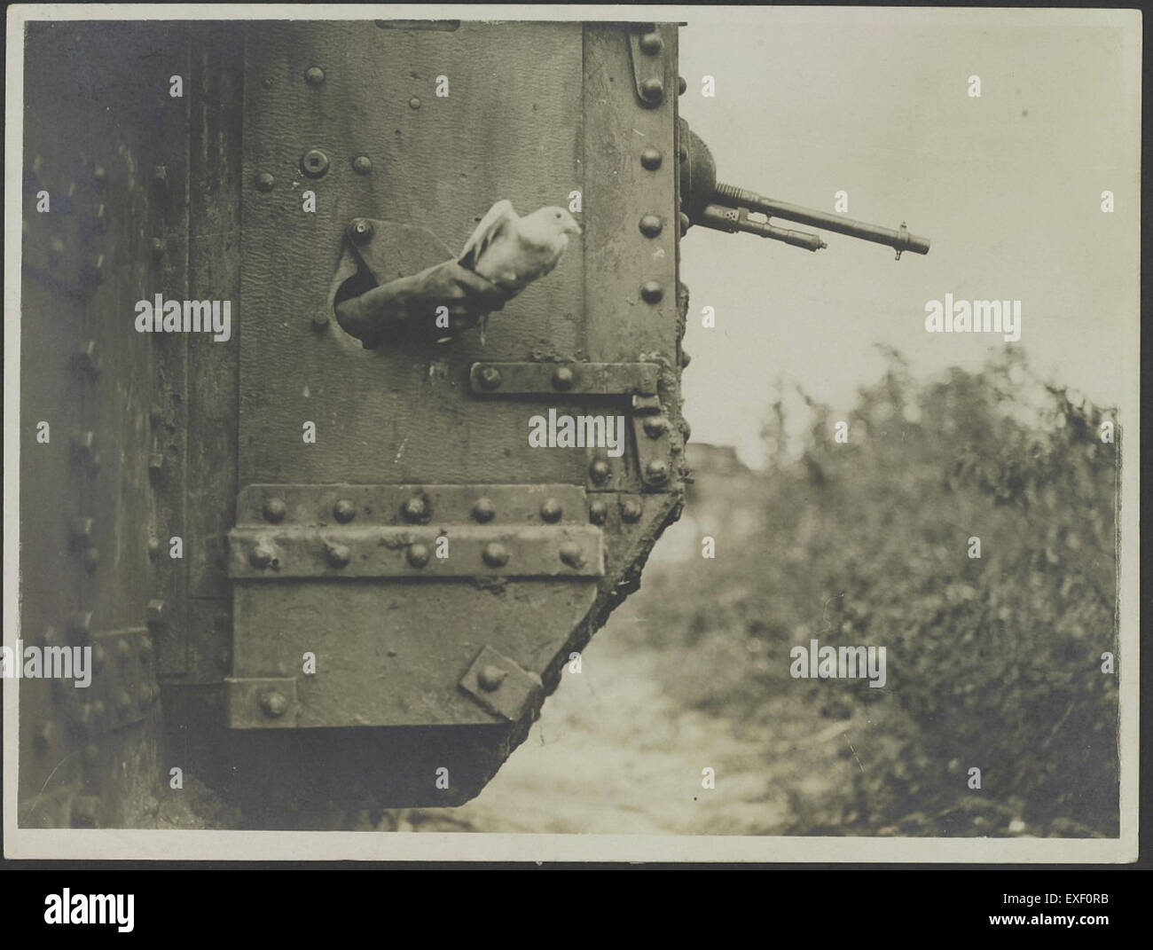 This historical photograph depicts the British Western Front during ...