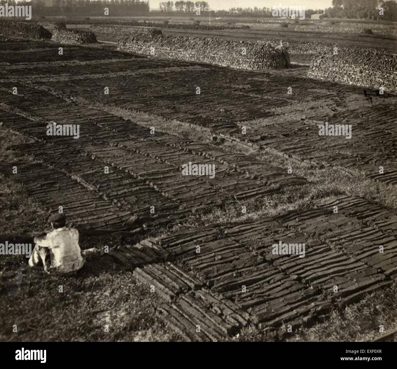 Peat wetlands hi-res stock photography and images - Alamy