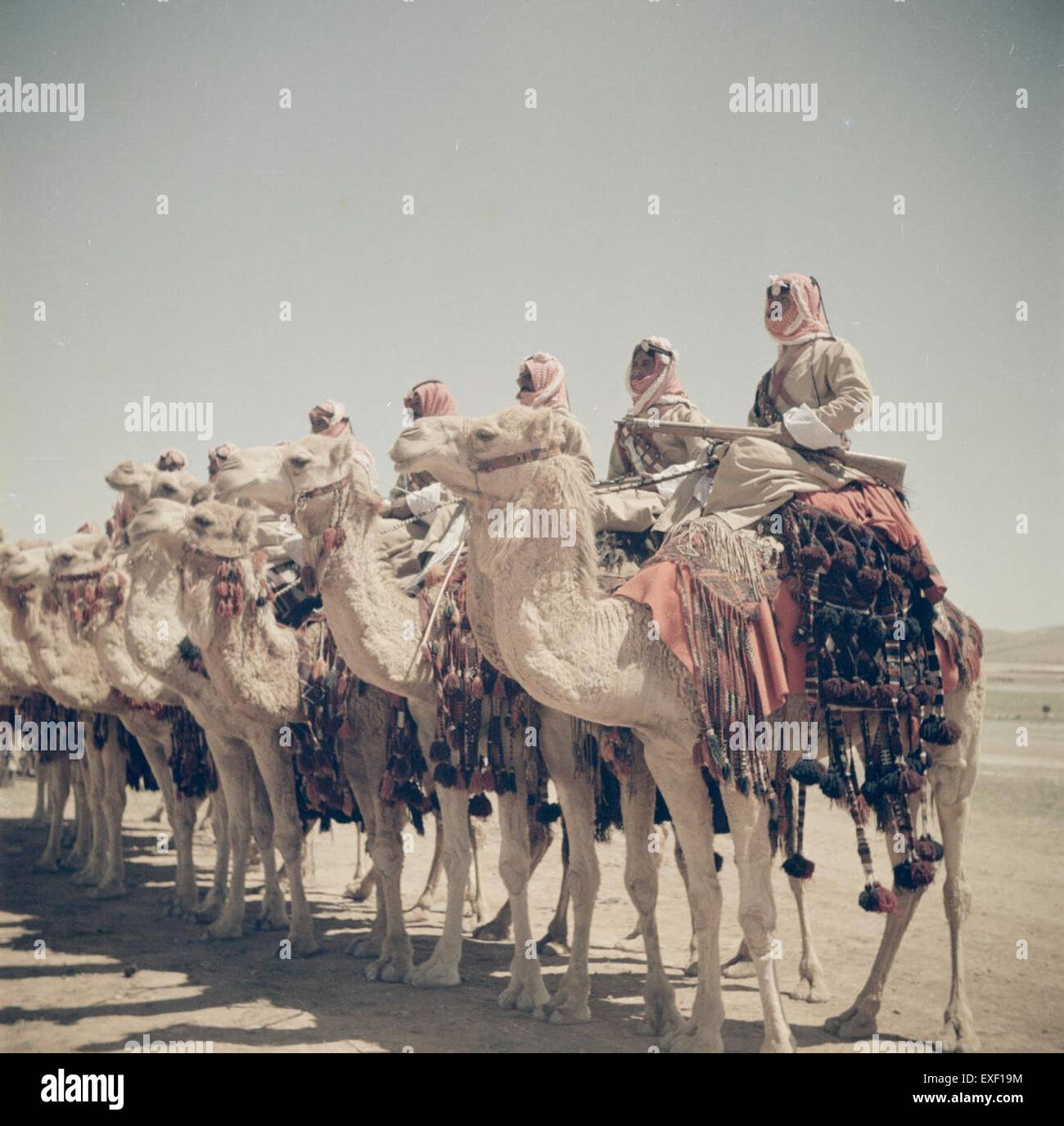 'Woestijnruiters' (Desert Riders) depicts the heroic figures of desert ...