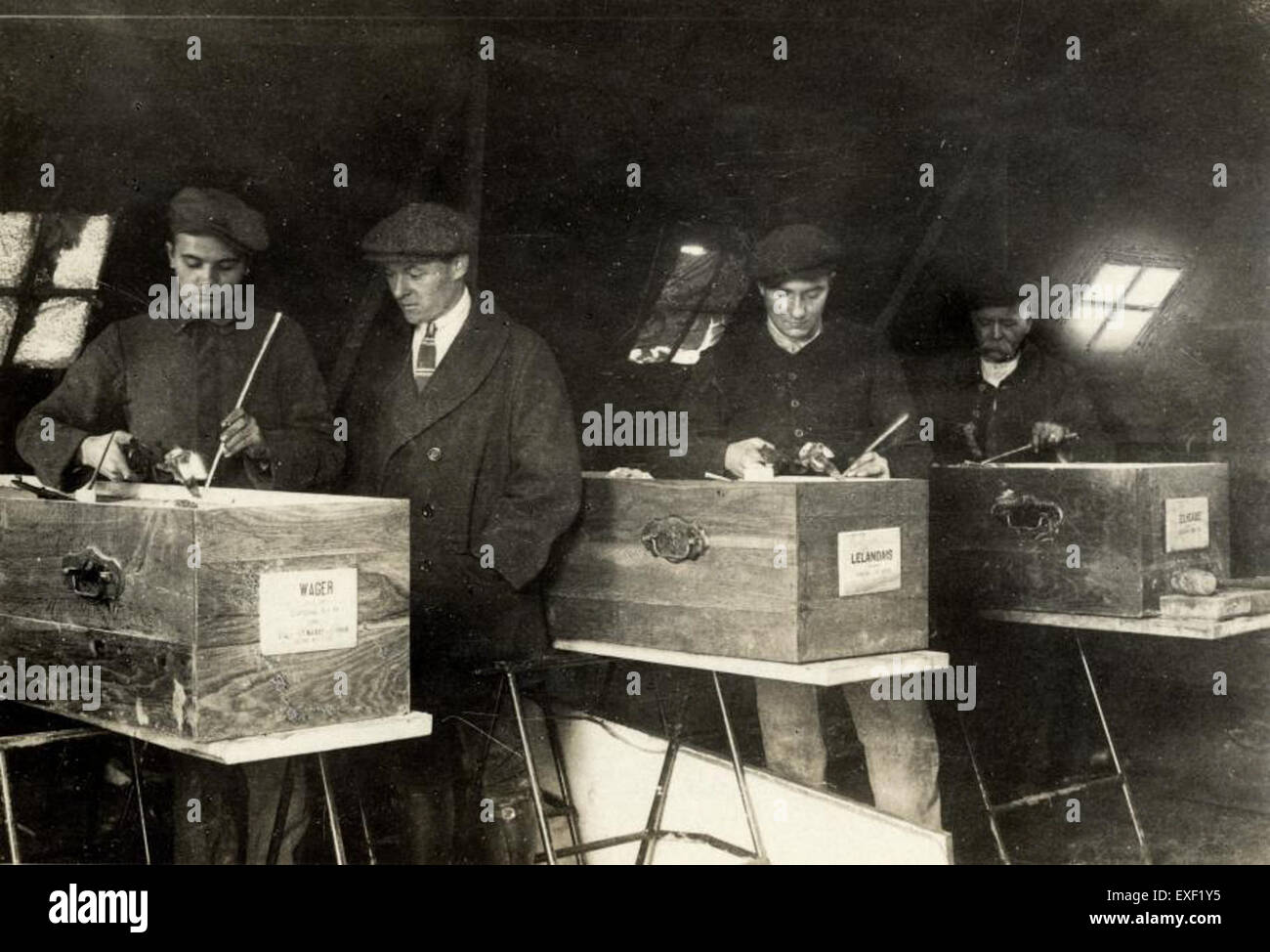 Devastating human toll hi-res stock photography and images - Alamy