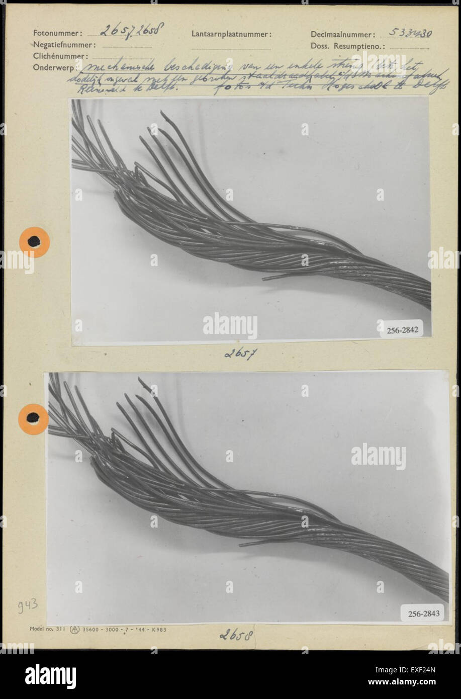 Steel wire process hi-res stock photography and images - Alamy