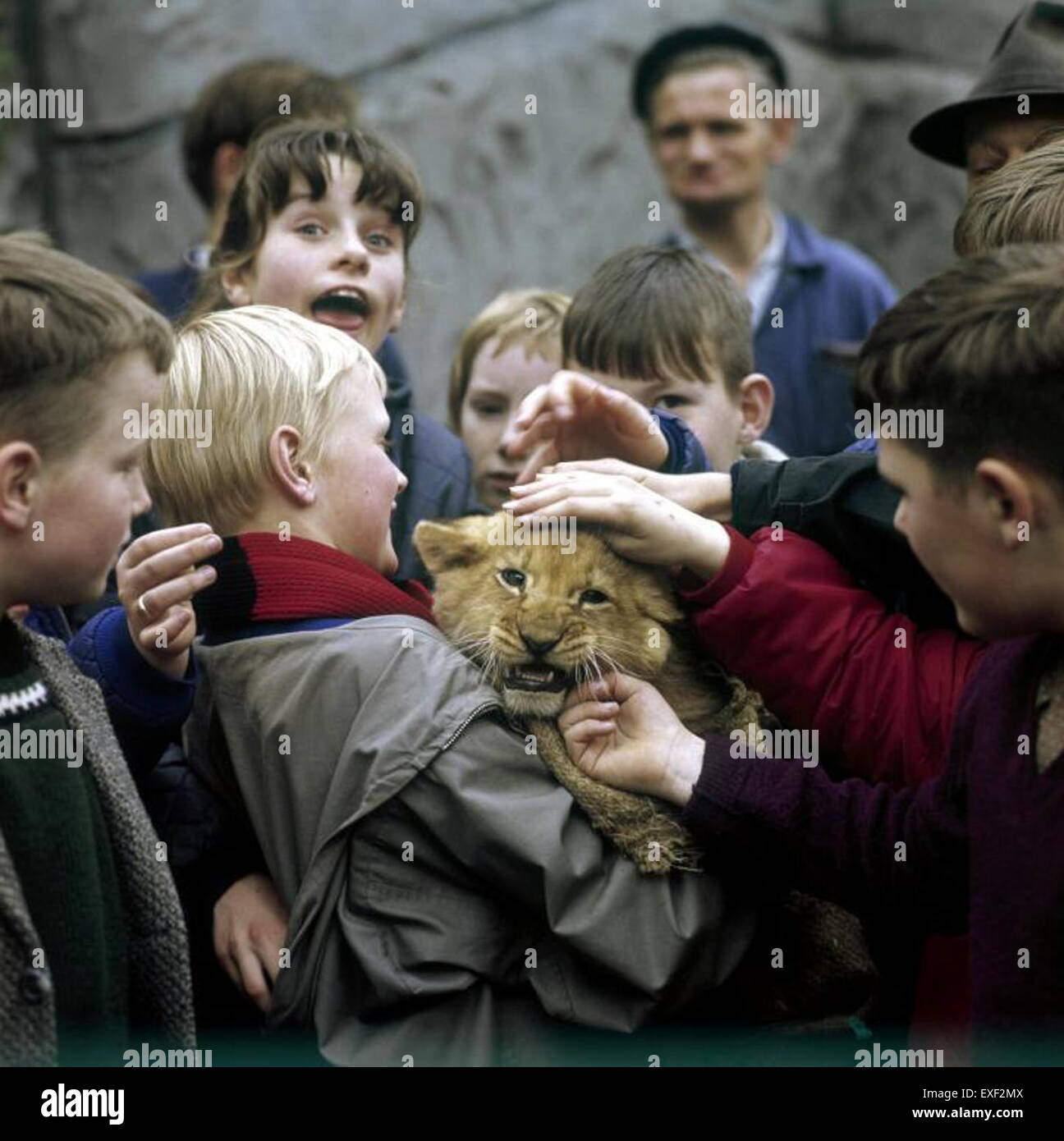 A historical image of children holding a whelp (young wolf). This ...