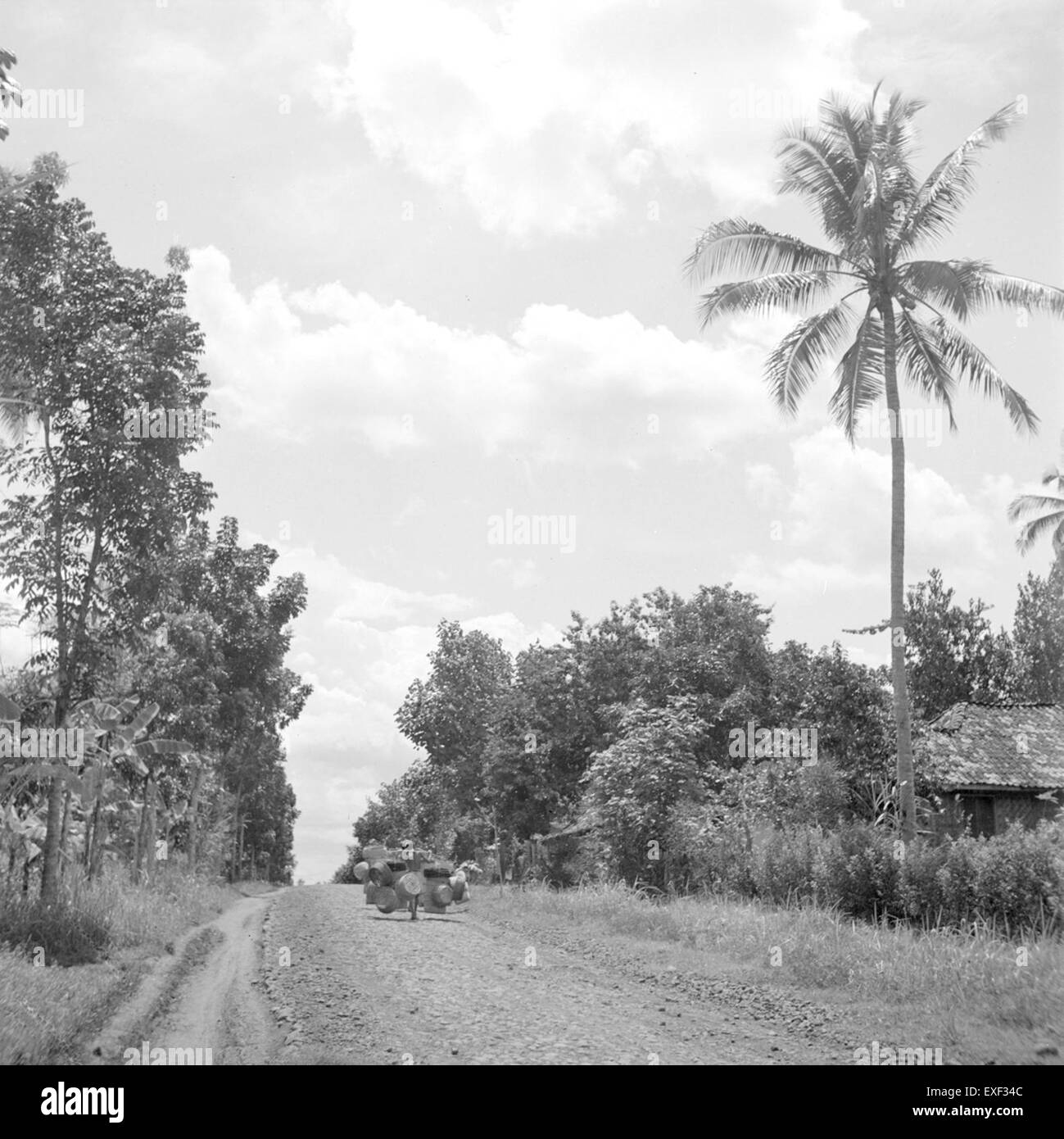 A depiction of a rural country road in Java, showing a coolie (manual ...