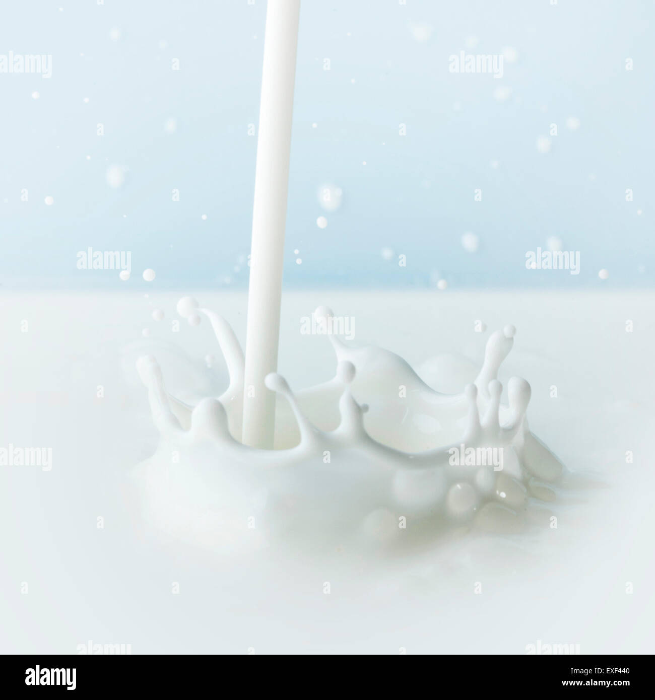 Pouring milk splash Stock Photo - Alamy