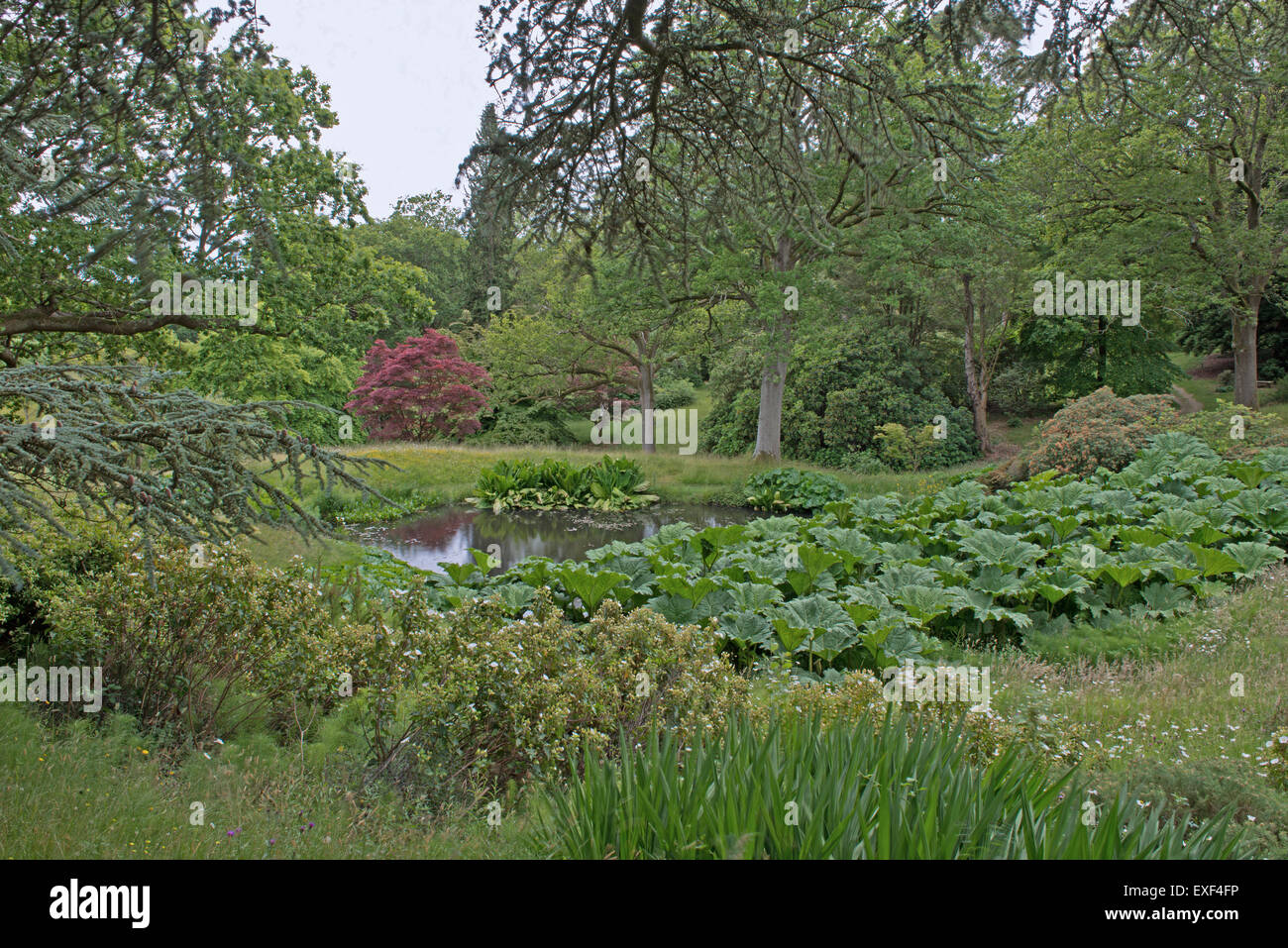 High beeches handcross hi-res stock photography and images - Alamy