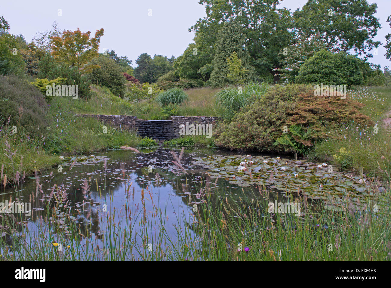 The Waterfall and Pond at High Beeches Woodland & Water Garden ...