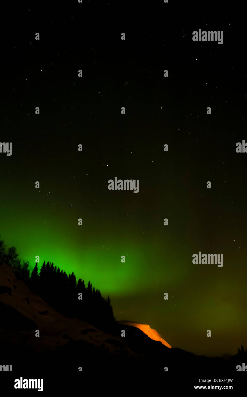 Ursa major hi-res stock photography and images - Alamy