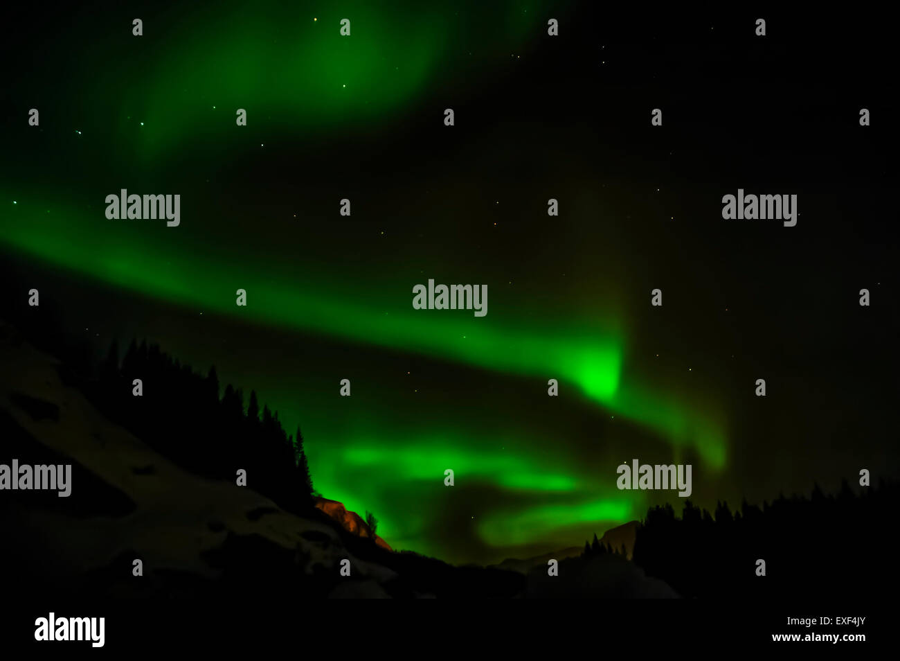 Mountain, forest with Ursa Major and Aurora Borealis (Northern Lights ...