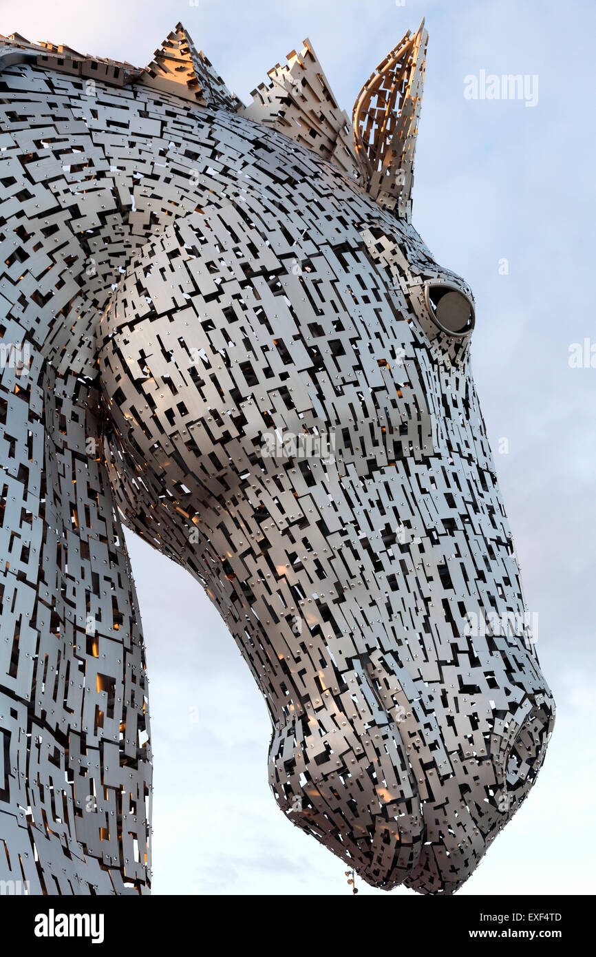 Kelpie horse hi-res stock photography and images - Alamy