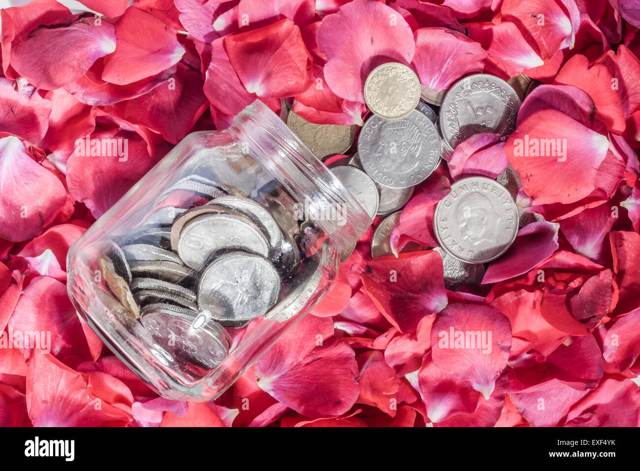 Rose and nature exchange hi-res stock photography and images - Alamy