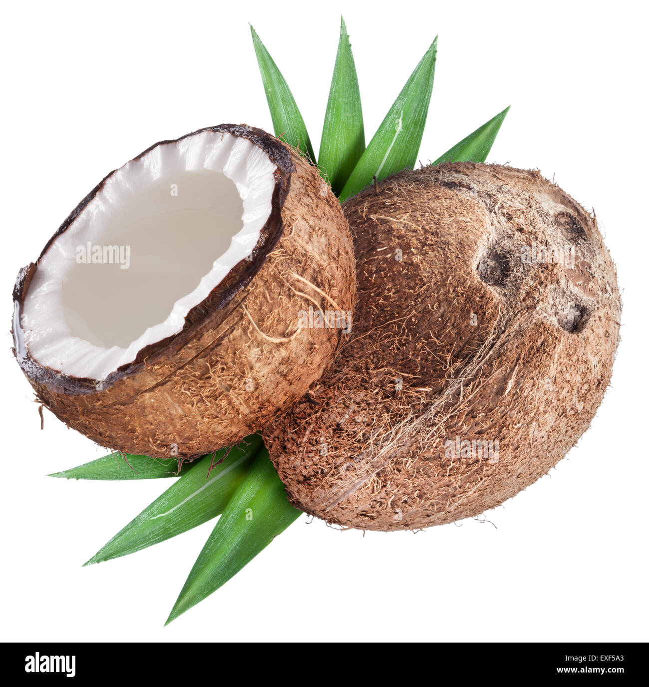 Coconut with leaves. File contains clipping paths Stock Photo - Alamy