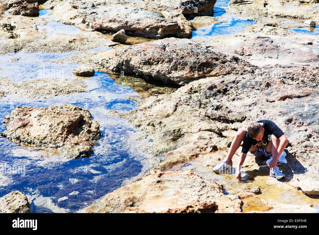 rock pooling looking for sea creatures at coast young boy searching ...