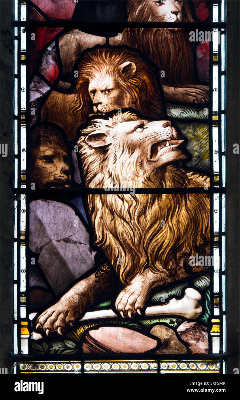 Daniel in the lions den stained glass detail, St. Mary`s Church ...