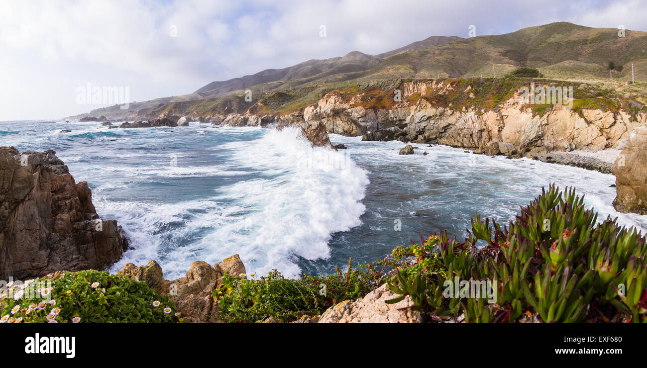 beautiful scene of the California coast with its classic dramatic ...