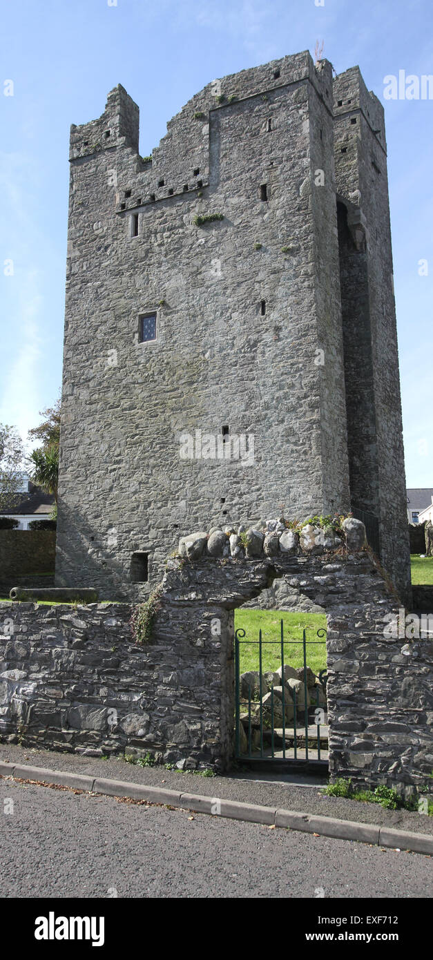 Tower house county down hi-res stock photography and images - Alamy