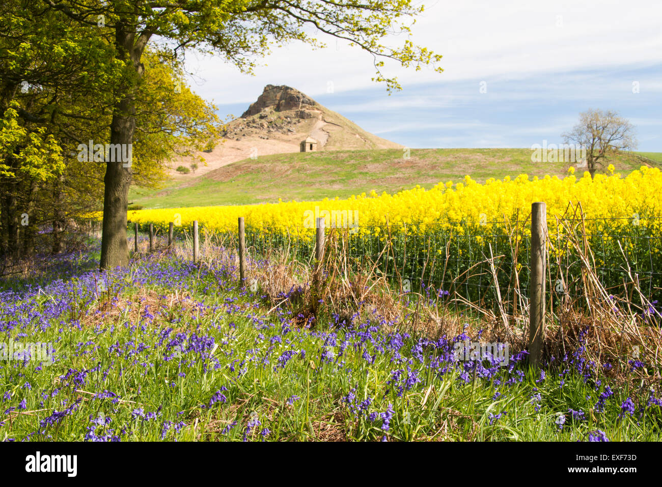 Roseberry Topping in glorious sunshine Stock Photo - Alamy