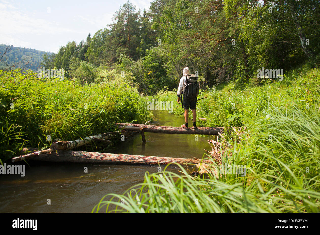 Log bridge hi-res stock photography and images - Alamy
