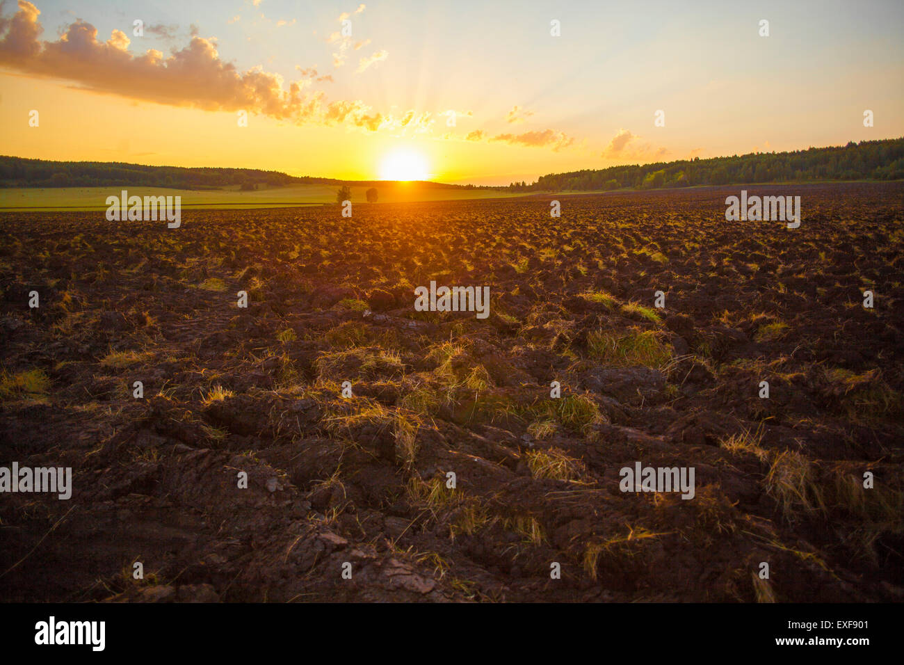 Ploughed field sunset hi-res stock photography and images - Alamy