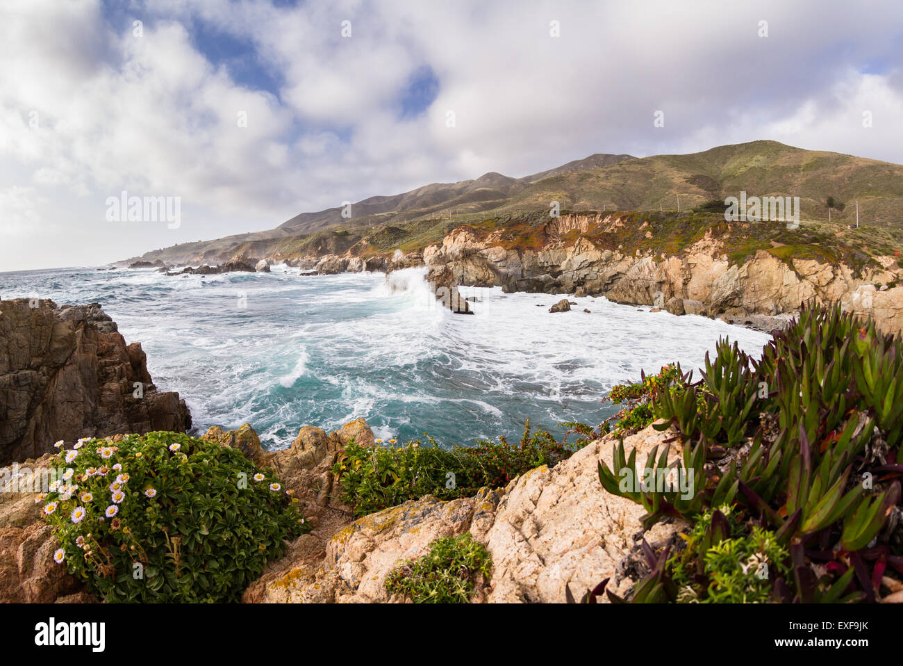 beautiful scene of the California coast with its classic dramatic ...