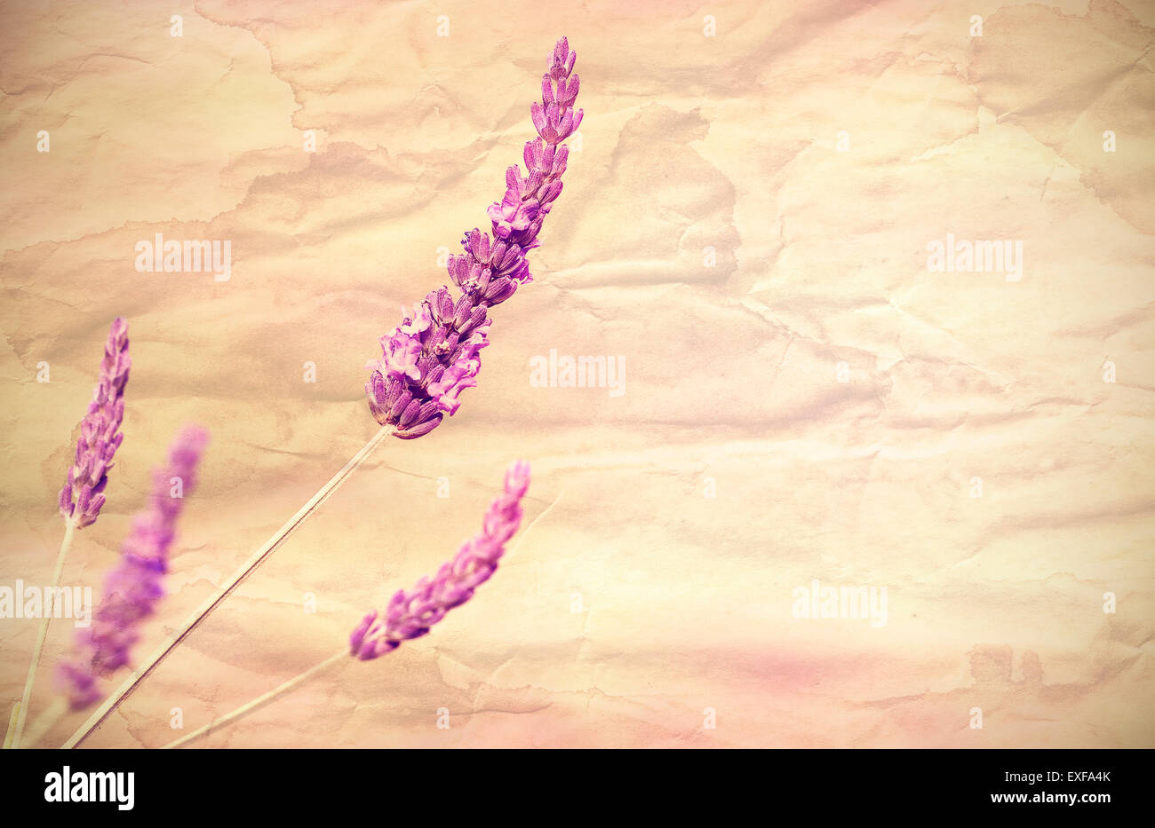 Old paper effect hi-res stock photography and images - Alamy