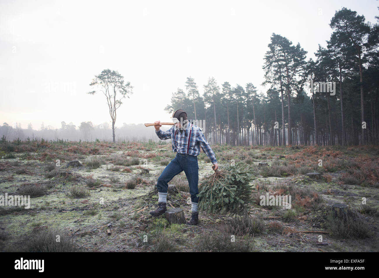 Woodsman hi-res stock photography and images - Alamy