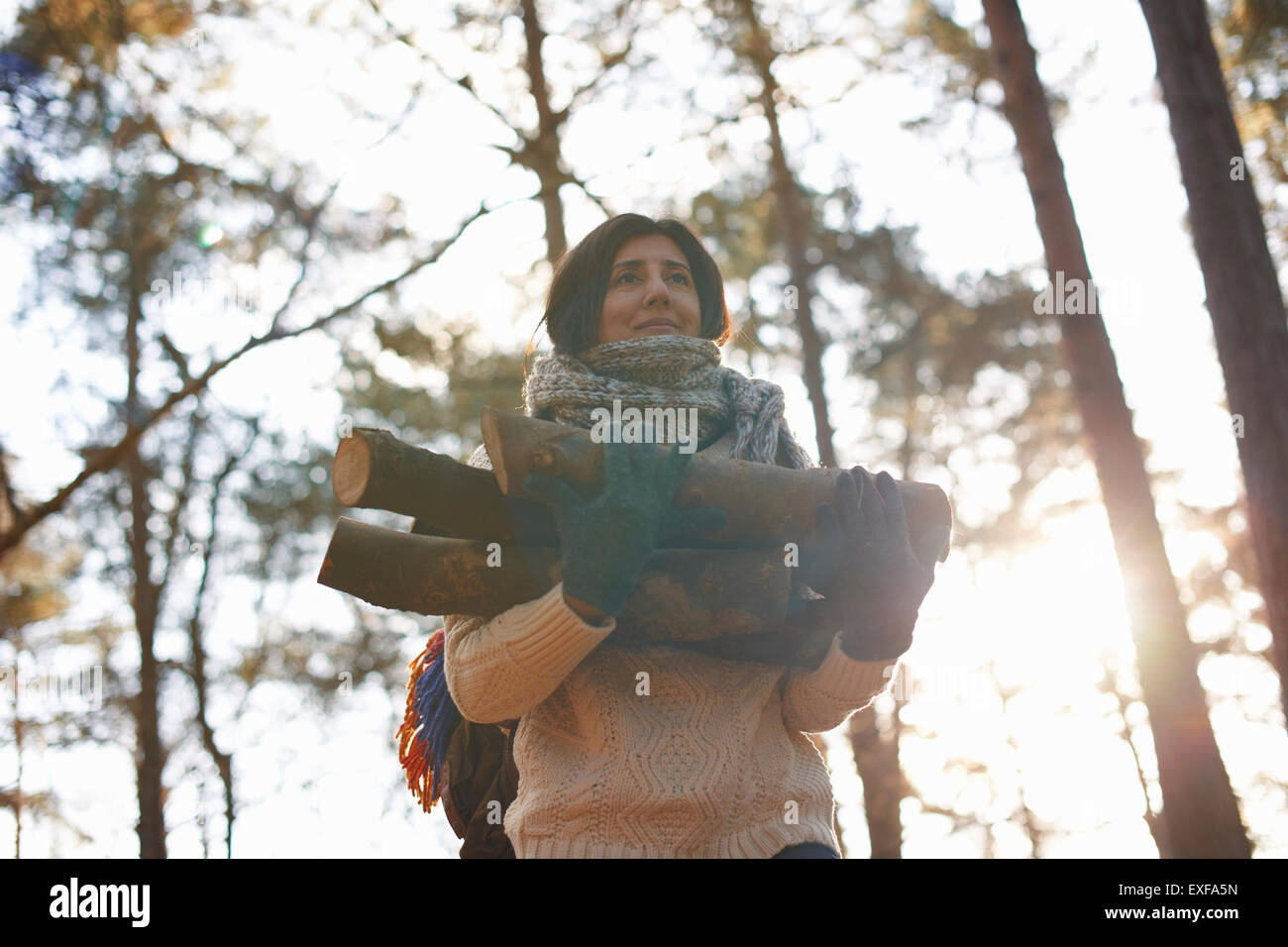 Woman collecting logs for campfire in forest Stock Photo - Alamy