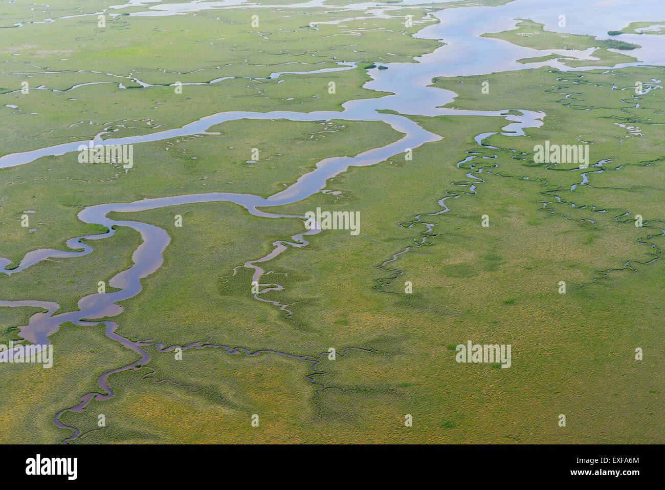 Aerial view of marshes and mangrove forest at Sian Ka'an natural ...