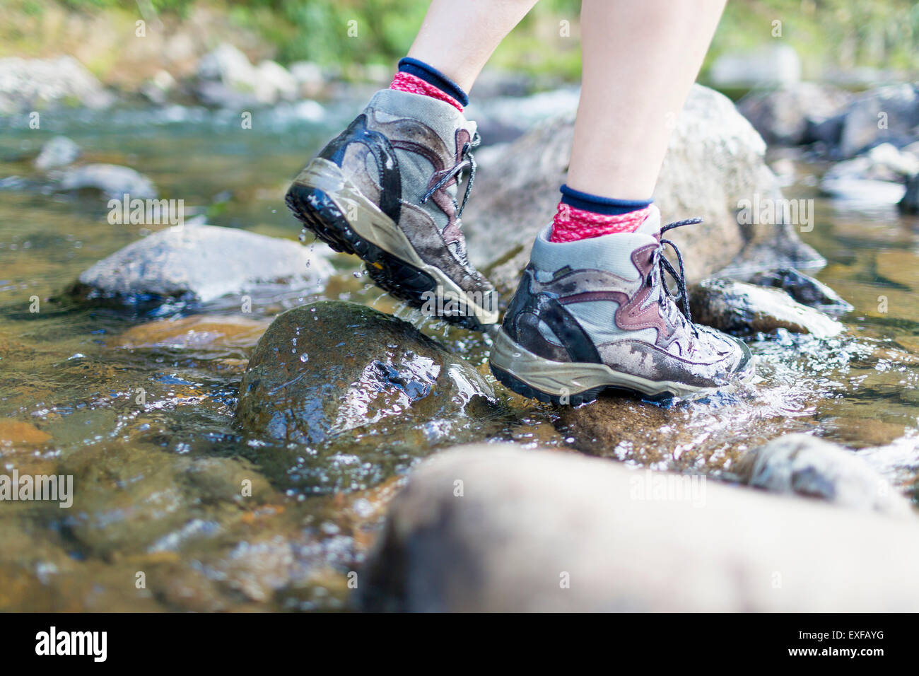 Hiker's feet walking on stones in shallow stream Stock Photo - Alamy