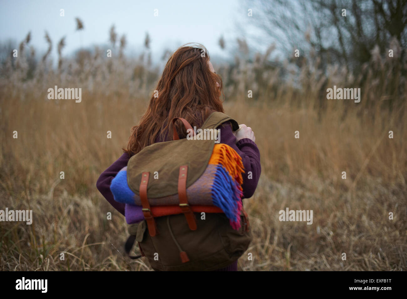 Man in countryside hi-res stock photography and images - Alamy