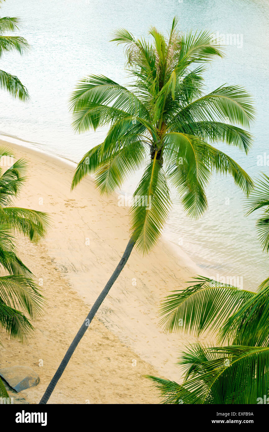 Big empty beach hi-res stock photography and images - Alamy